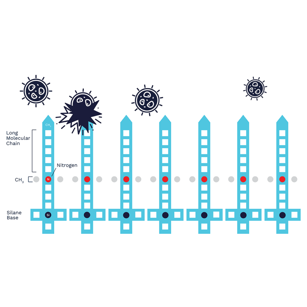Zoono, The Next Generation Sanitizer And Protectant Is Now Available In ...